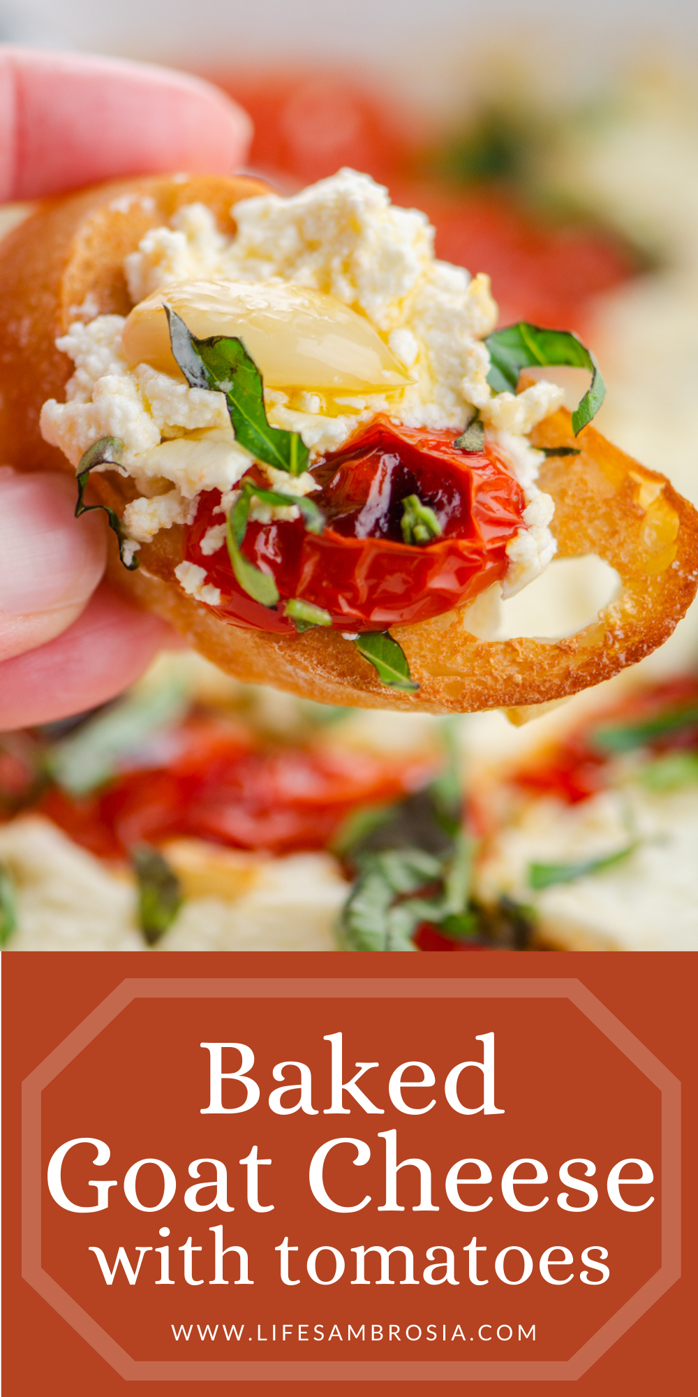 Baked Goat Cheese with Tomatoes Recipe | Life's Ambrosia