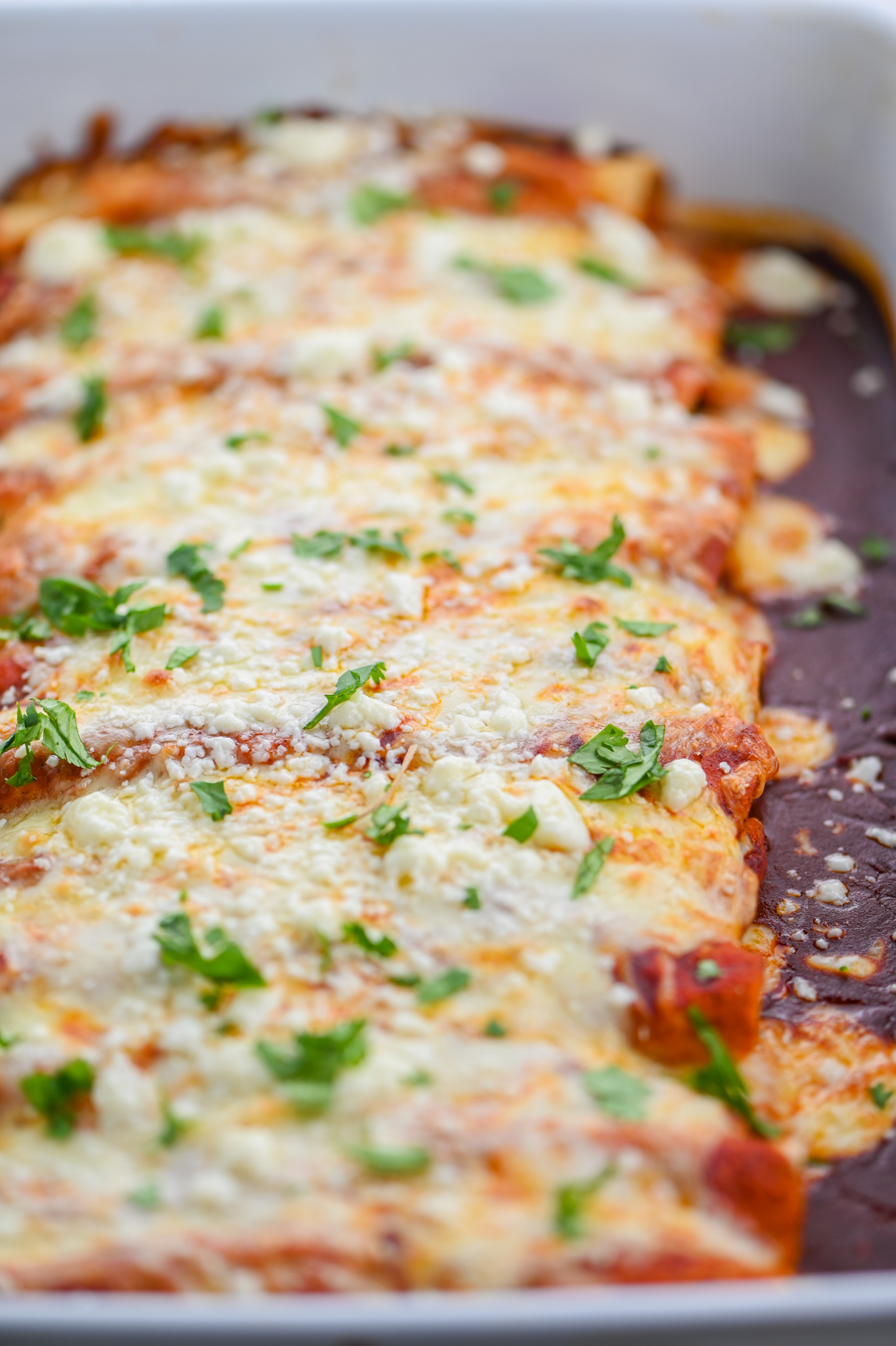 Bean and Cheese Enchiladas Recipe | Life's Ambrosia