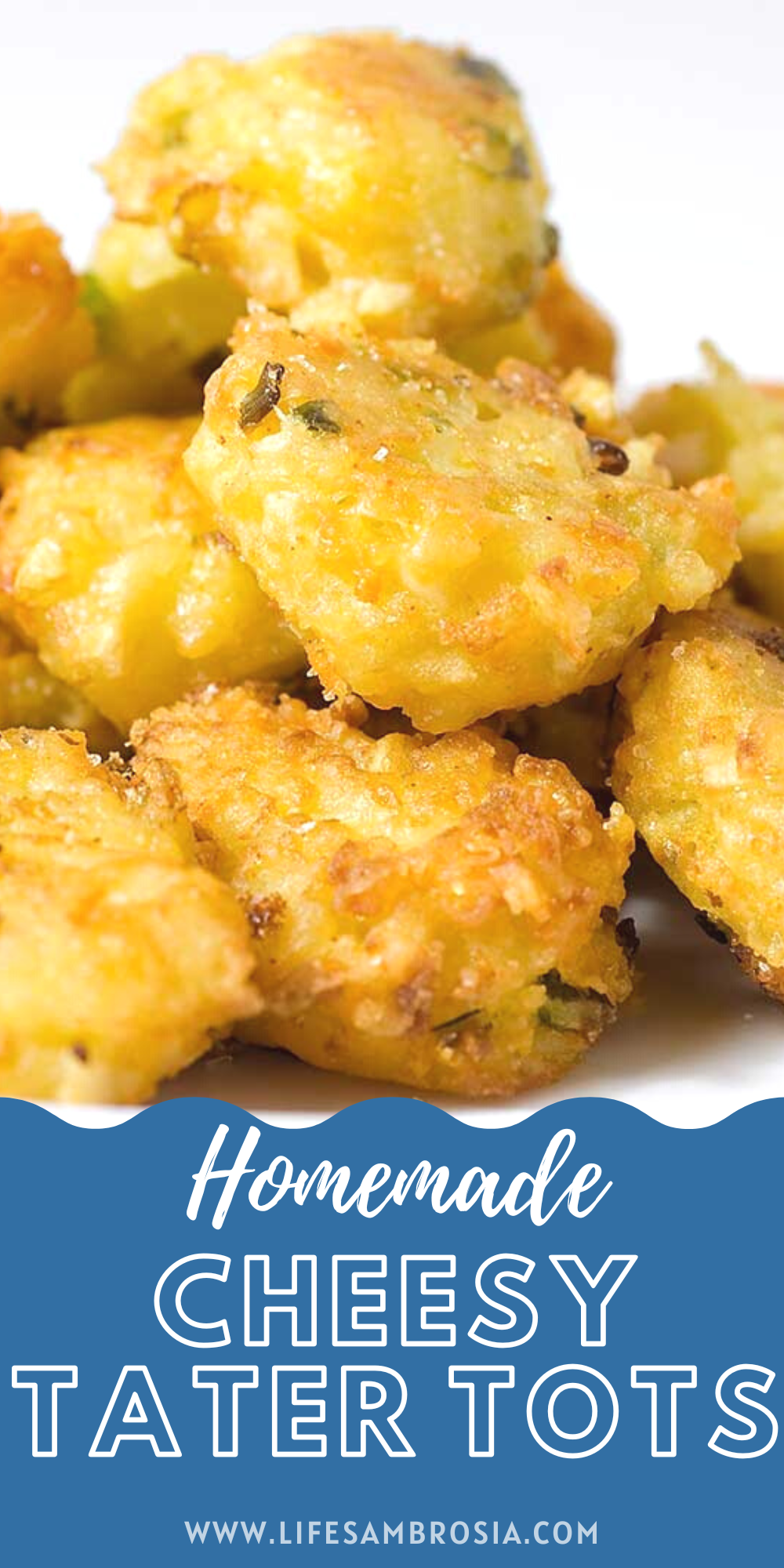 Cheesy Tater Tots - Life's Ambrosia
