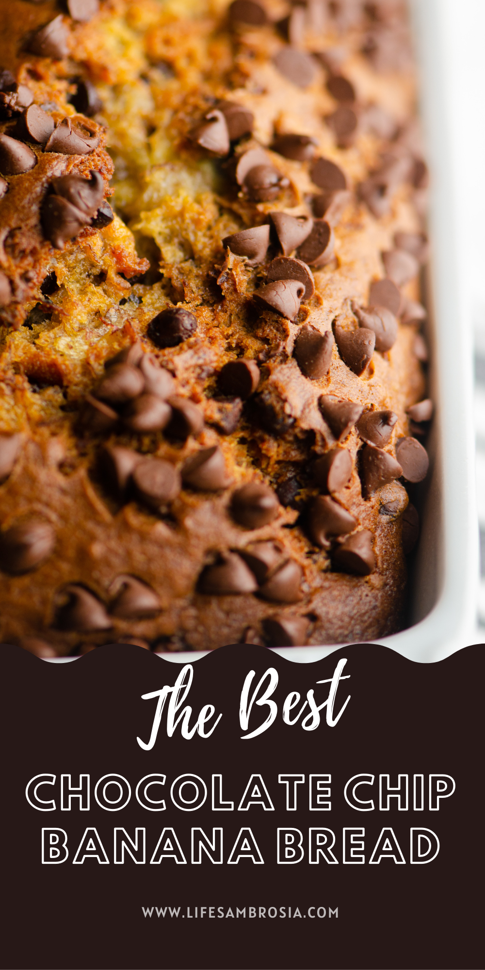 Chocolate Chip Banana Bread Recipe | Life's Ambrosia