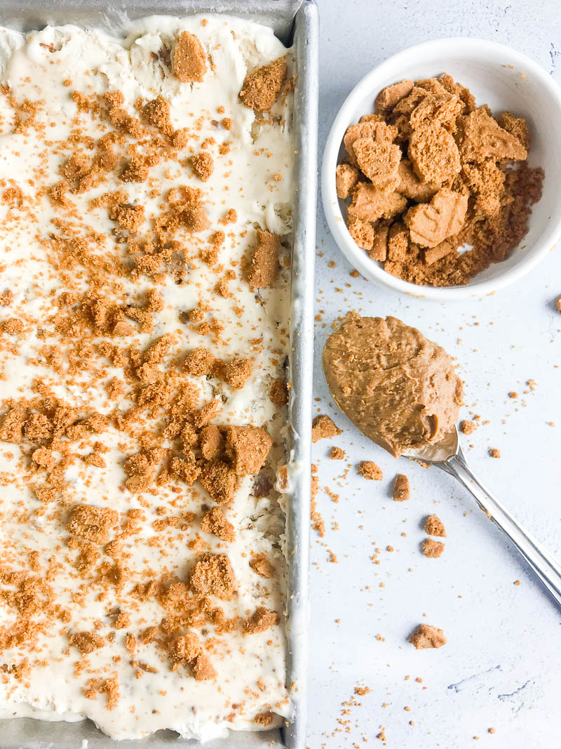 Cookie Butter Ice Cream Recipe - No Churn Ice Cream - Life's Ambrosia