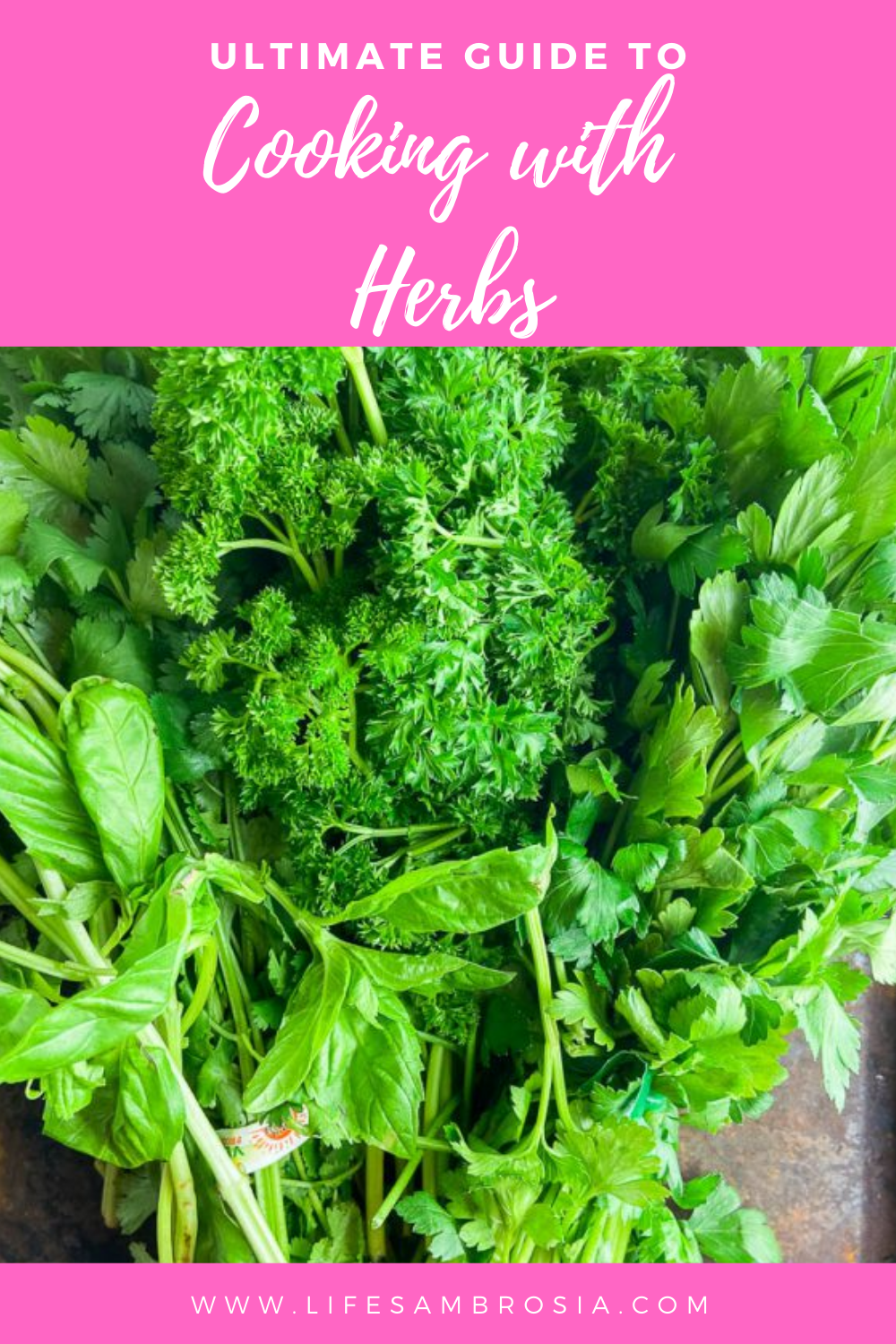 Ultimate Guide to Cooking with Herbs - Life's Ambrosia