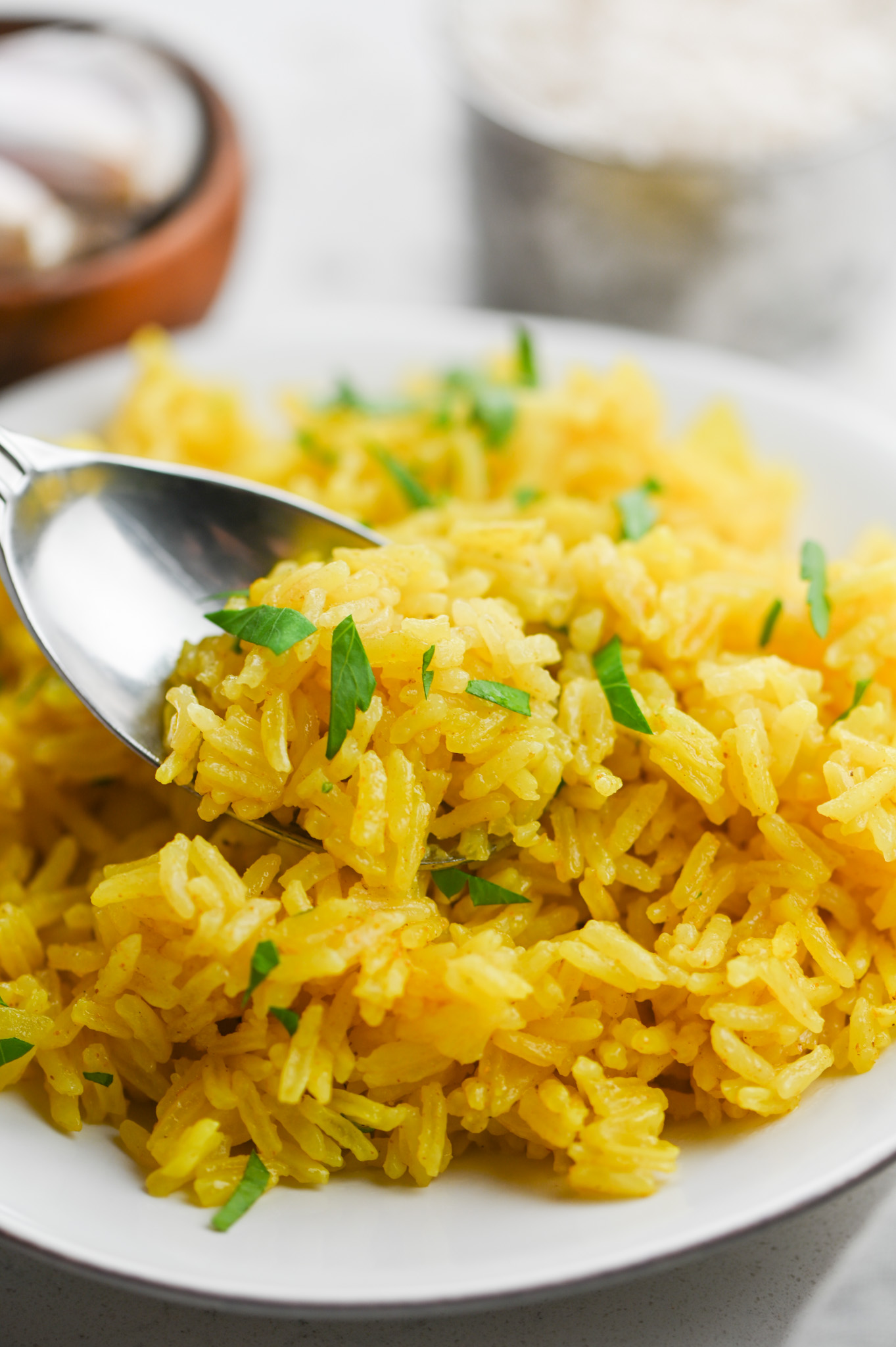 Curry Rice Recipe | Life's Ambrosia
