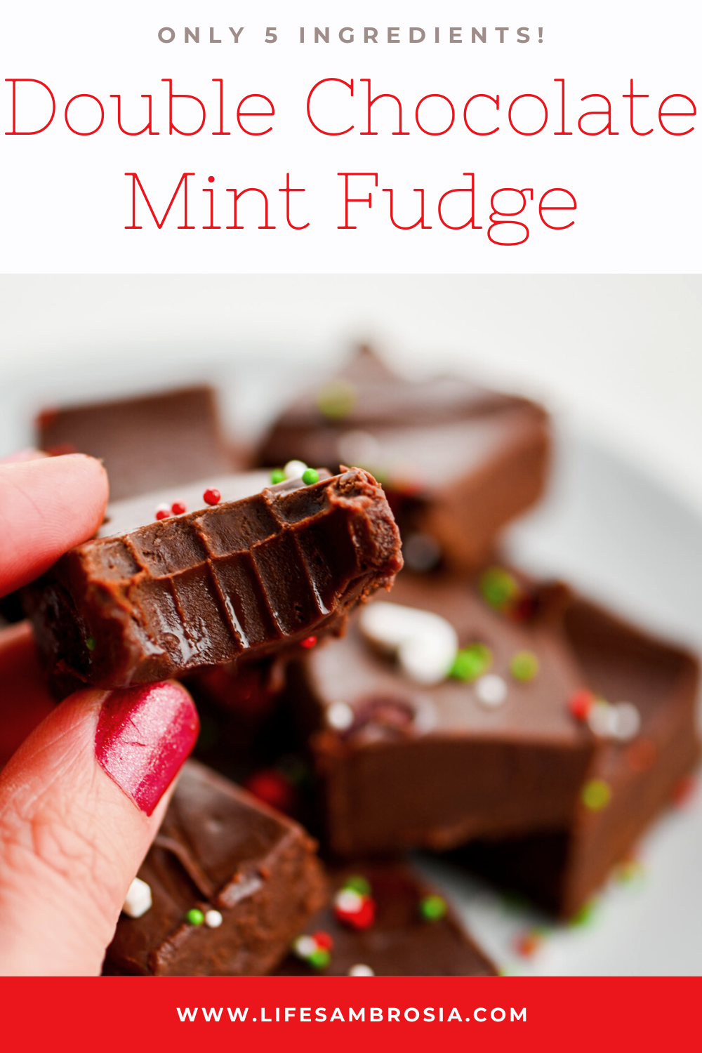Double Chocolate Mint Fudge - Life's Ambrosia