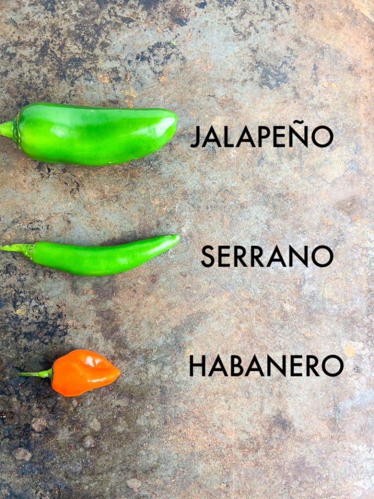 Guide To Chile Peppers - Life's Ambrosia