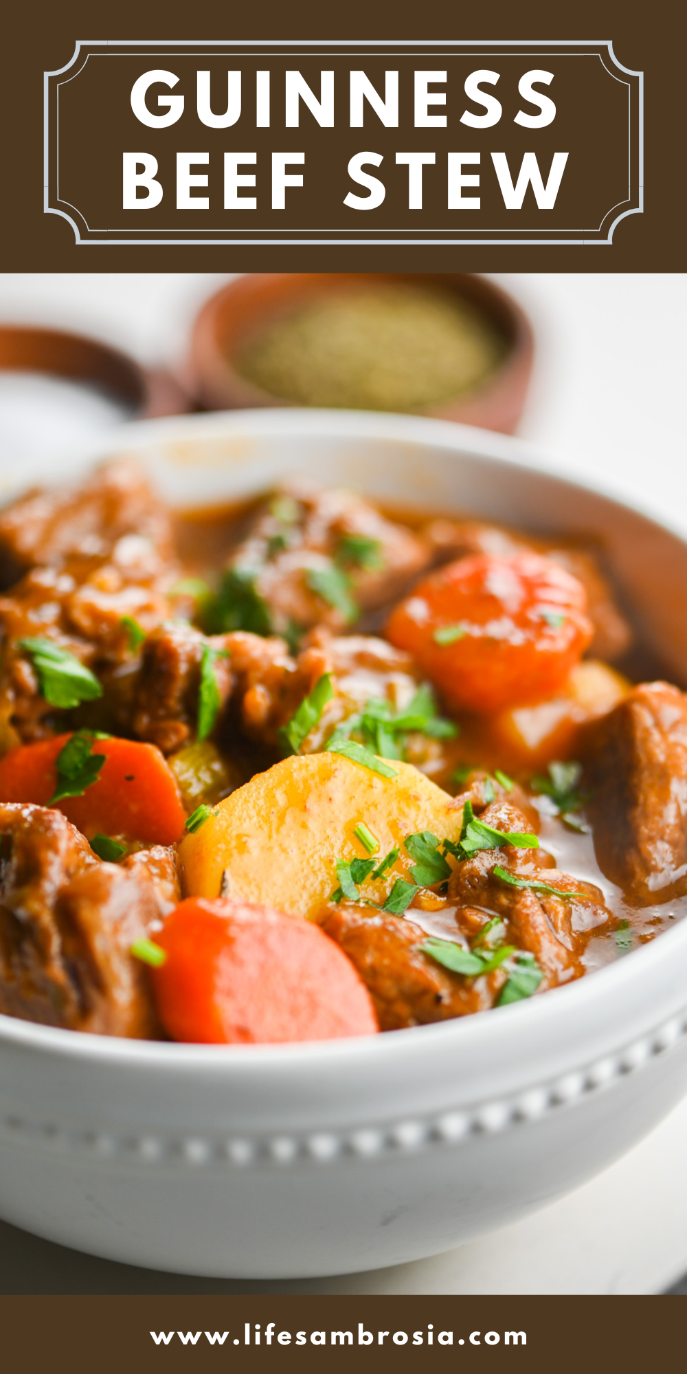 Guinness Beef Stew Recipe | Life's Ambrosia