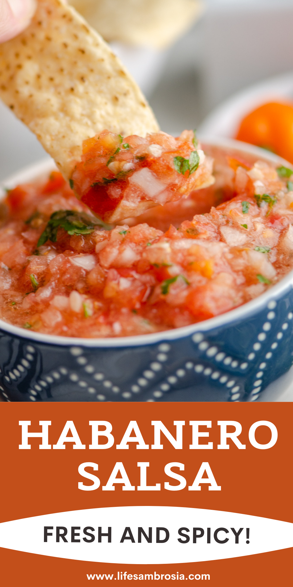 Habanero Salsa Recipe | Life's Ambrosia