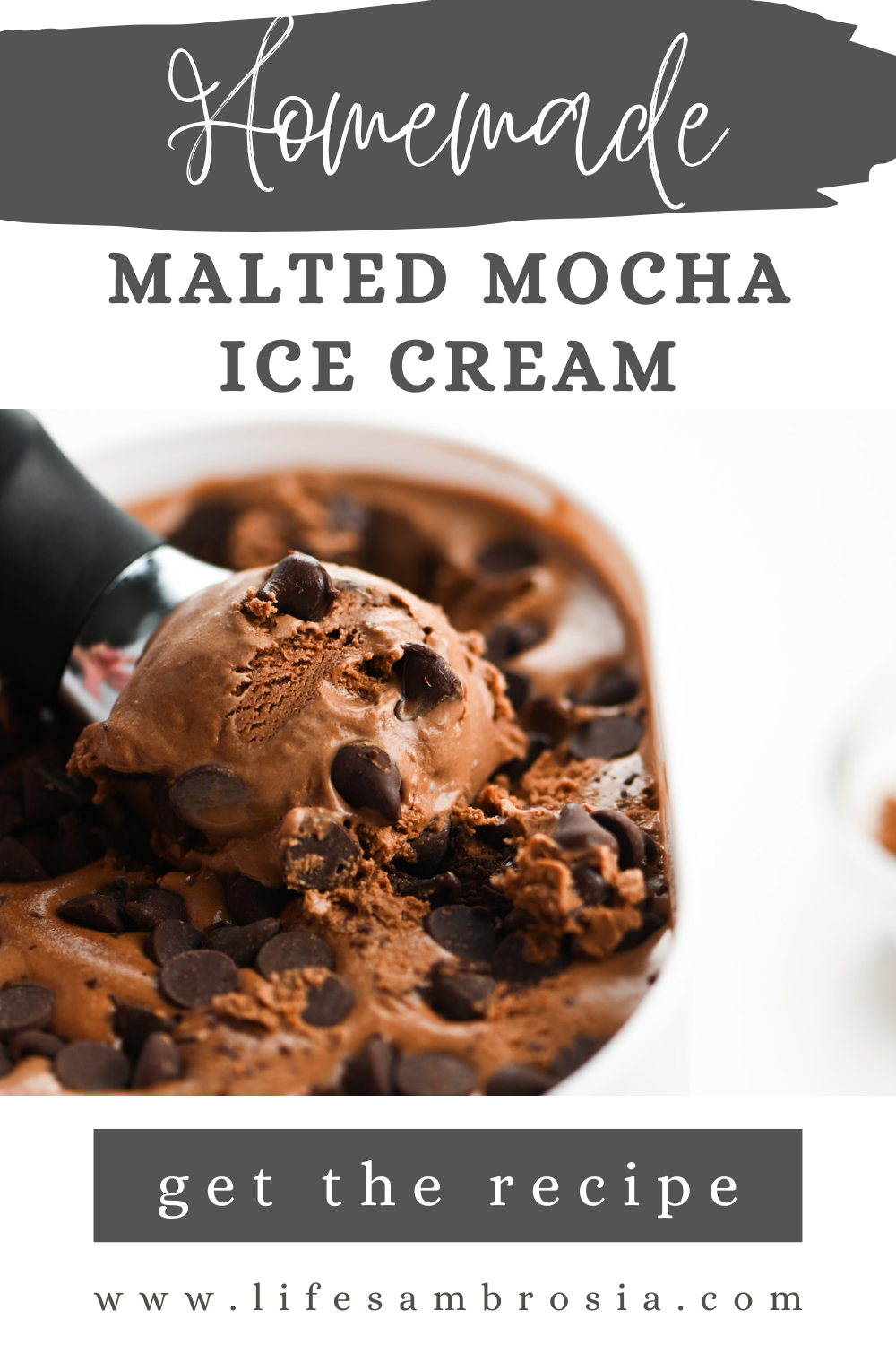 Malted Mocha Ice Cream Recipe | Life's Ambrosia