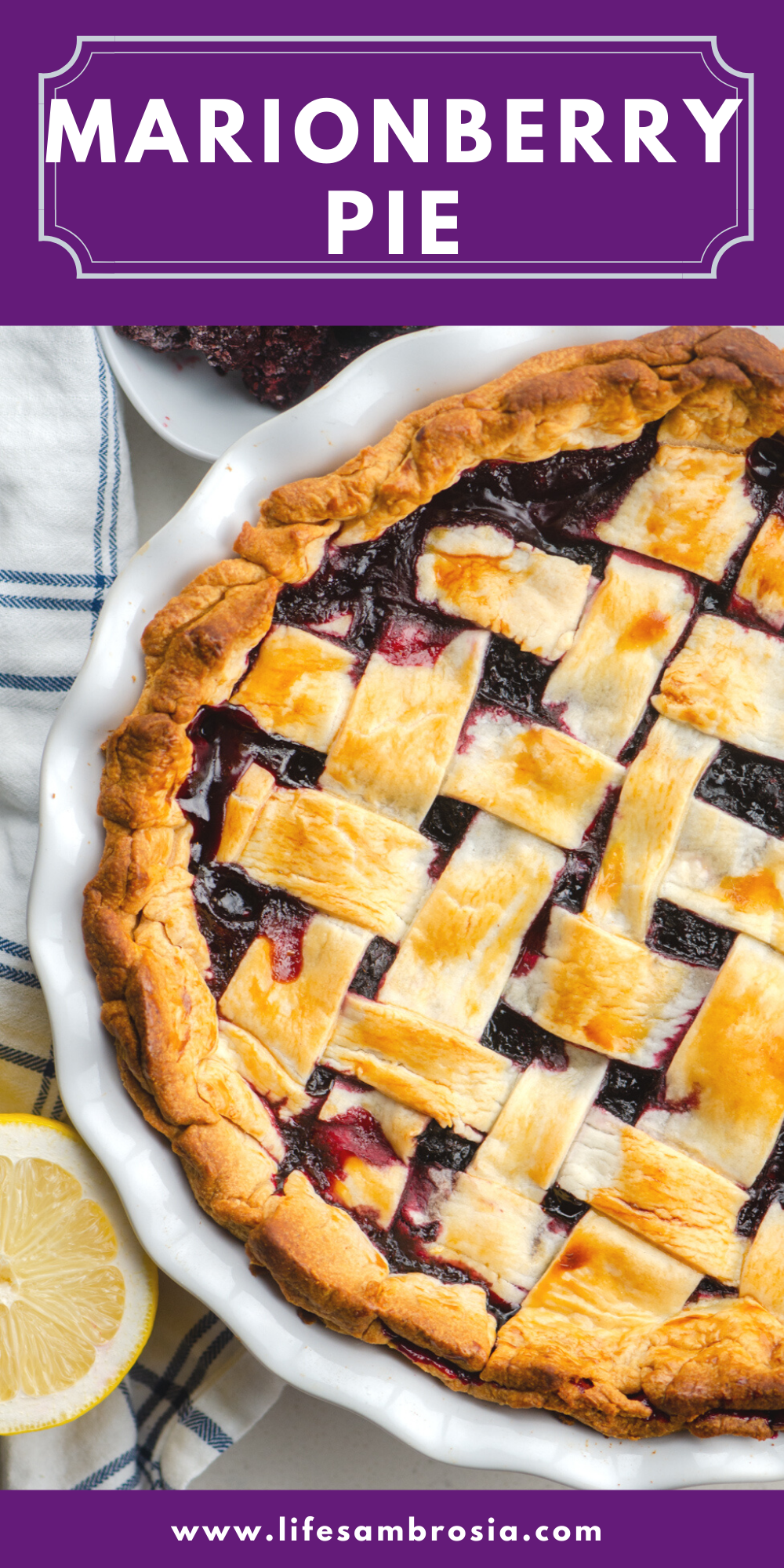 Marionberry Pie Recipe | Life's Ambrosia Life's Ambrosia