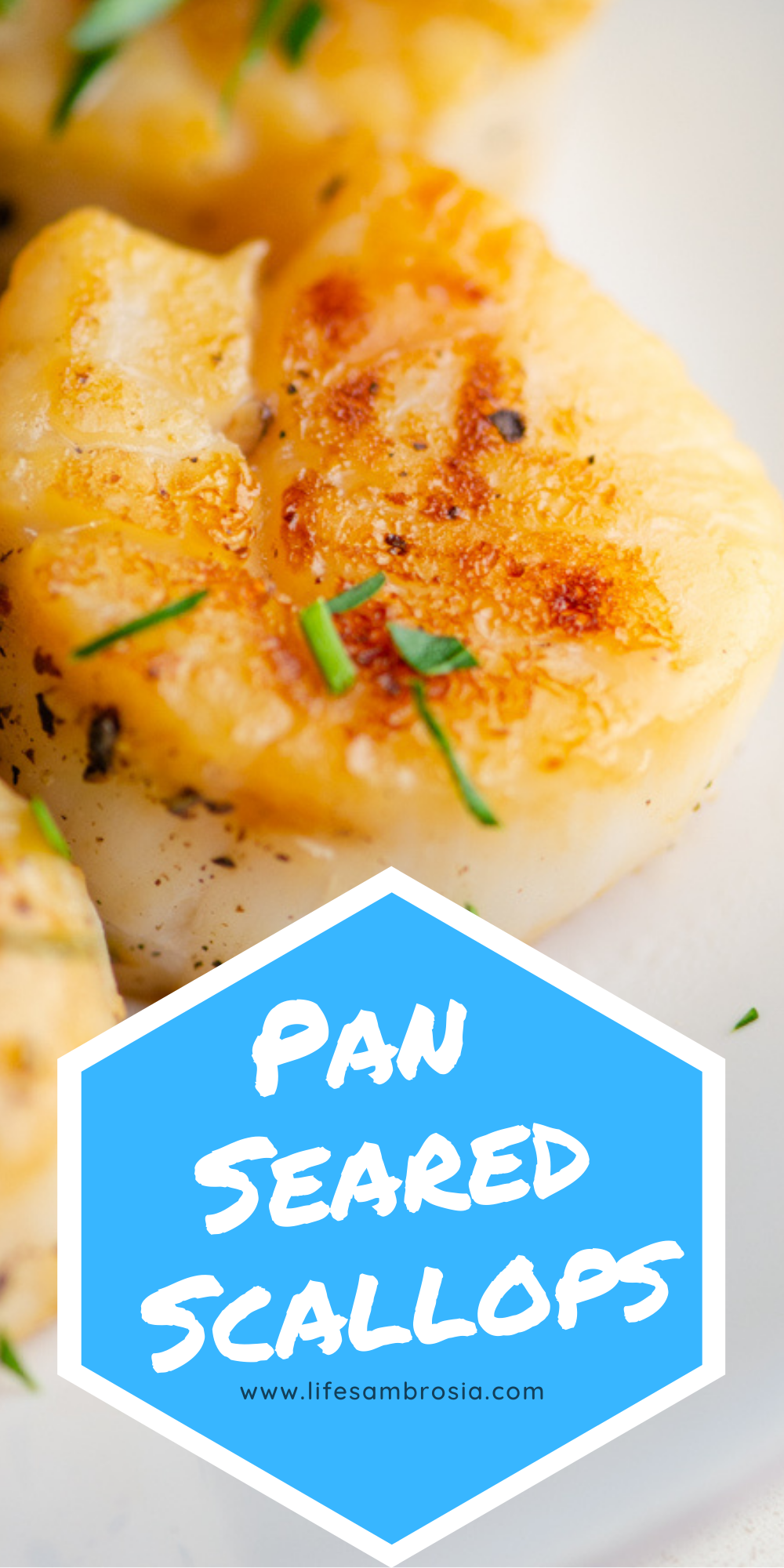 Sea Scallops In The Oven at Louis Brannan blog