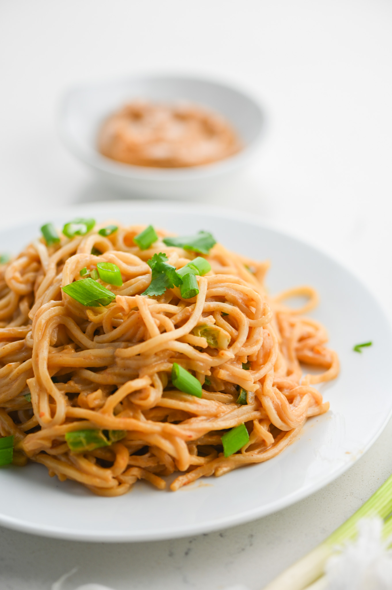 Peanut Sauce Noodles - Life's Ambrosia