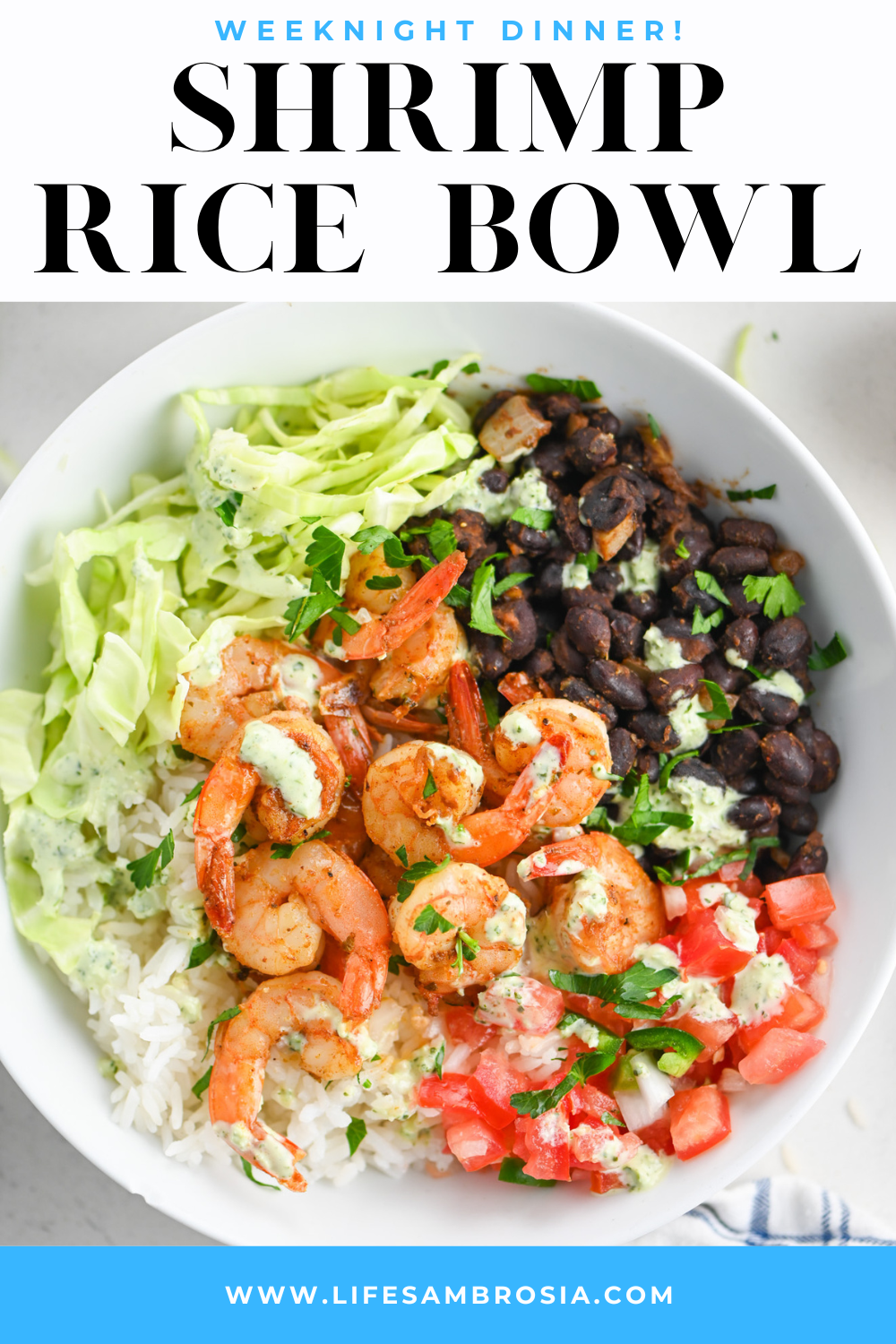 Shrimp Rice Bowl Recipe | Life's Ambrosia
