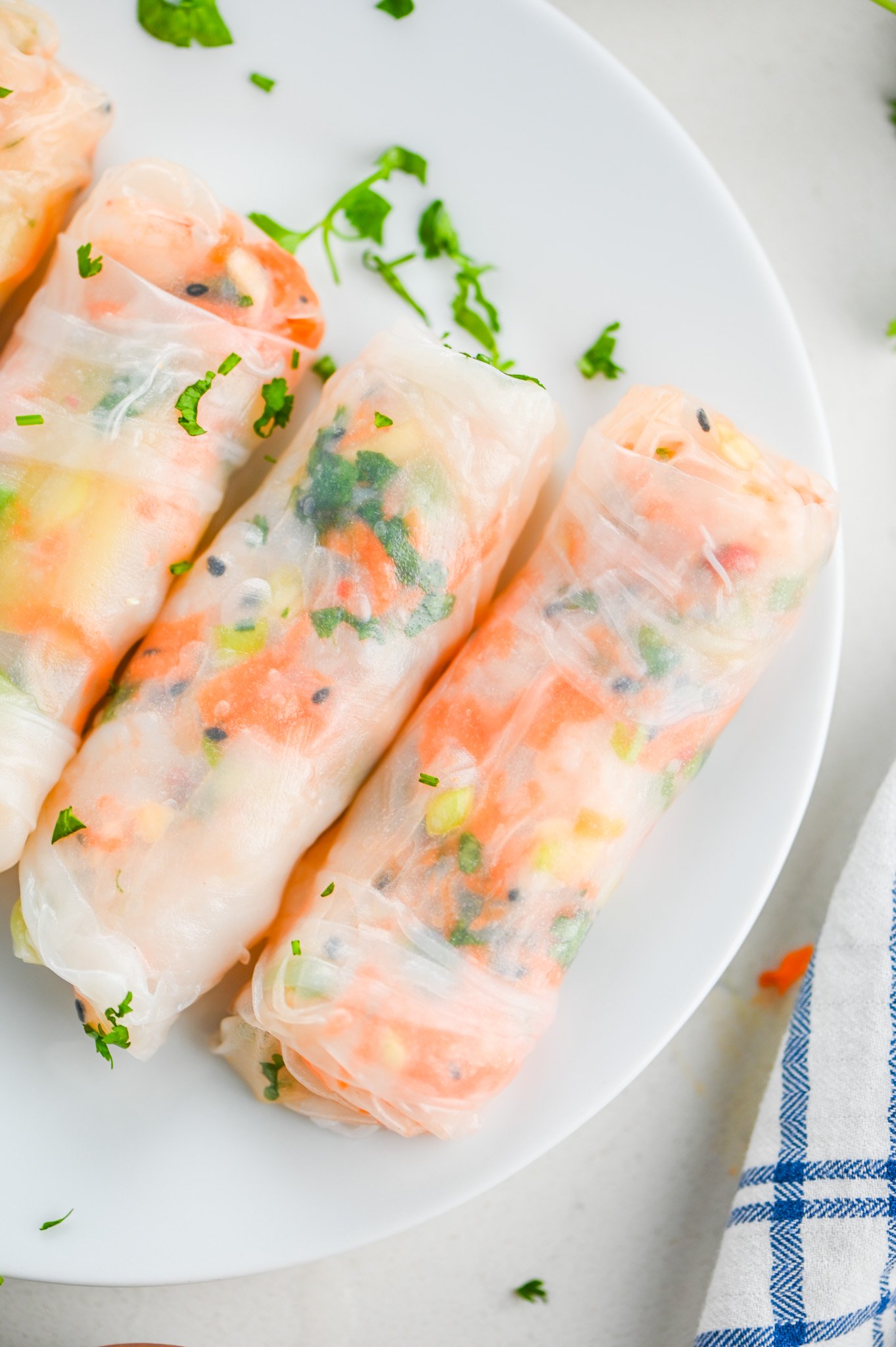 Shrimp Summer Rolls - Life's Ambrosia