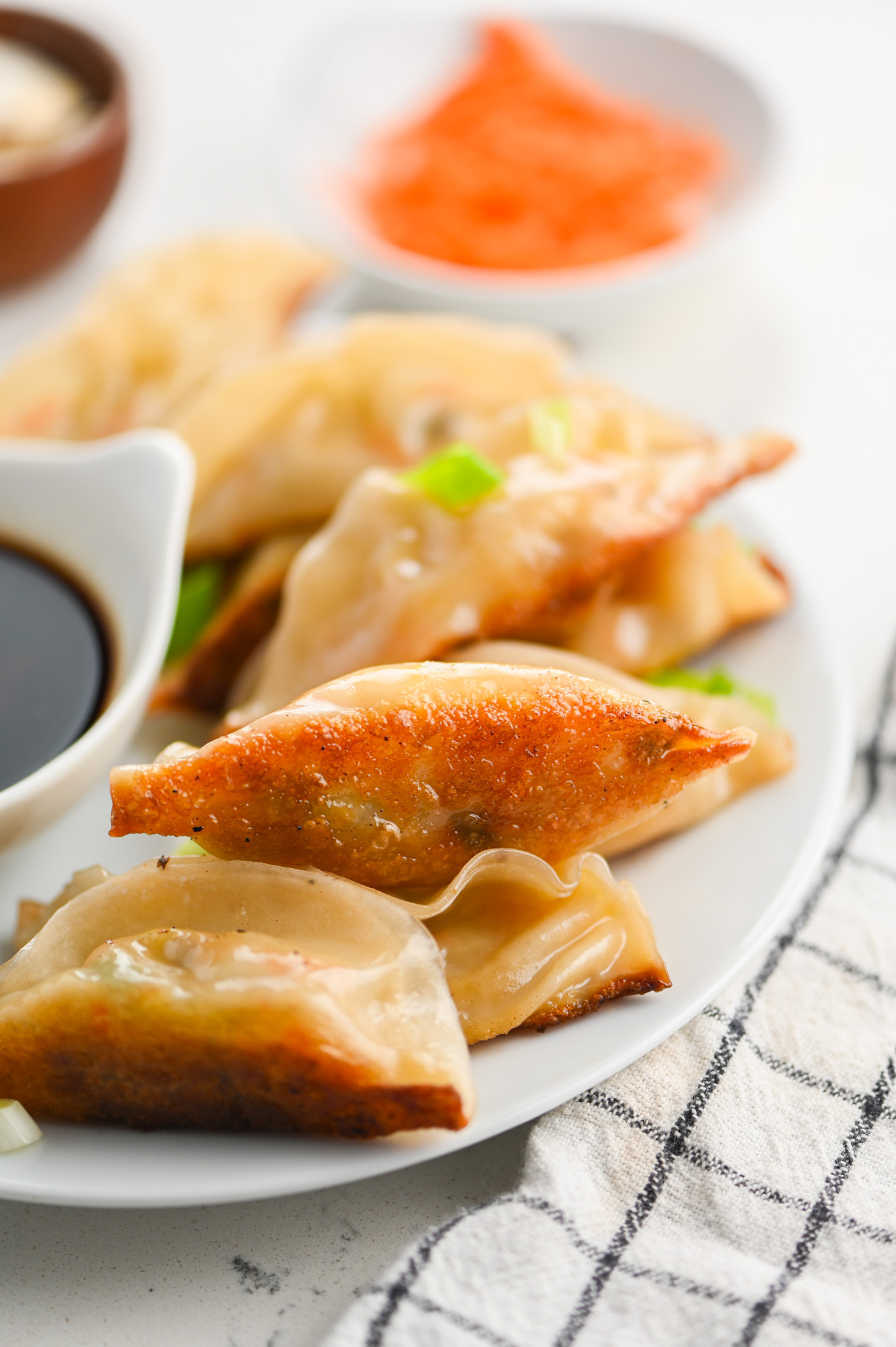 Vegetable Potstickers Recipe | Life's Ambrosia