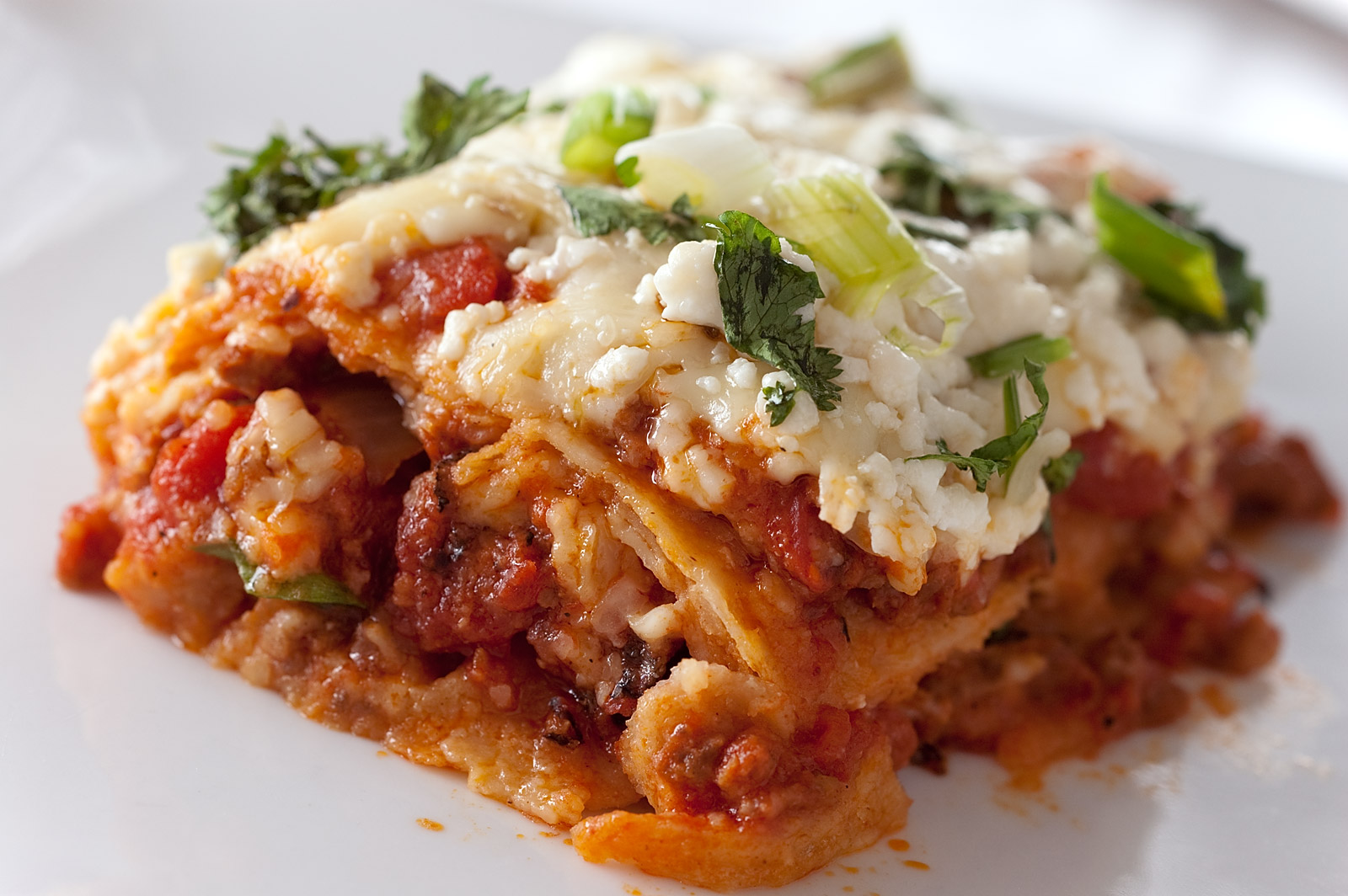 Mexican Lasagna - Life's Ambrosia