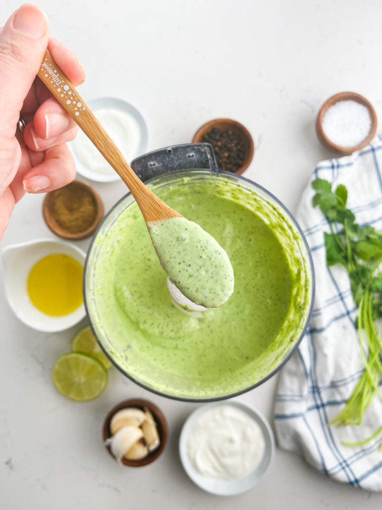 Creamy Cilantro Sauce Recipe | Life's Ambrosia