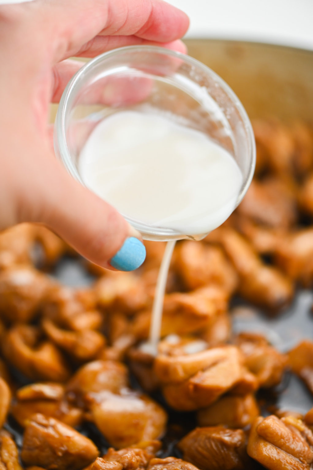 Chicken Teriyaki Recipe | Life's Ambrosia