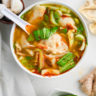 Easy Potsticker Soup Recipe | Life's Ambrosia