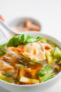 Easy Potsticker Soup Recipe | Life's Ambrosia