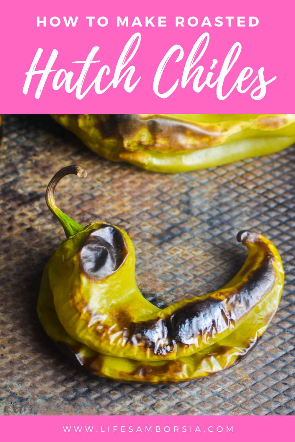 How to Make Roasted Hatch Chiles | Life's Ambrosia