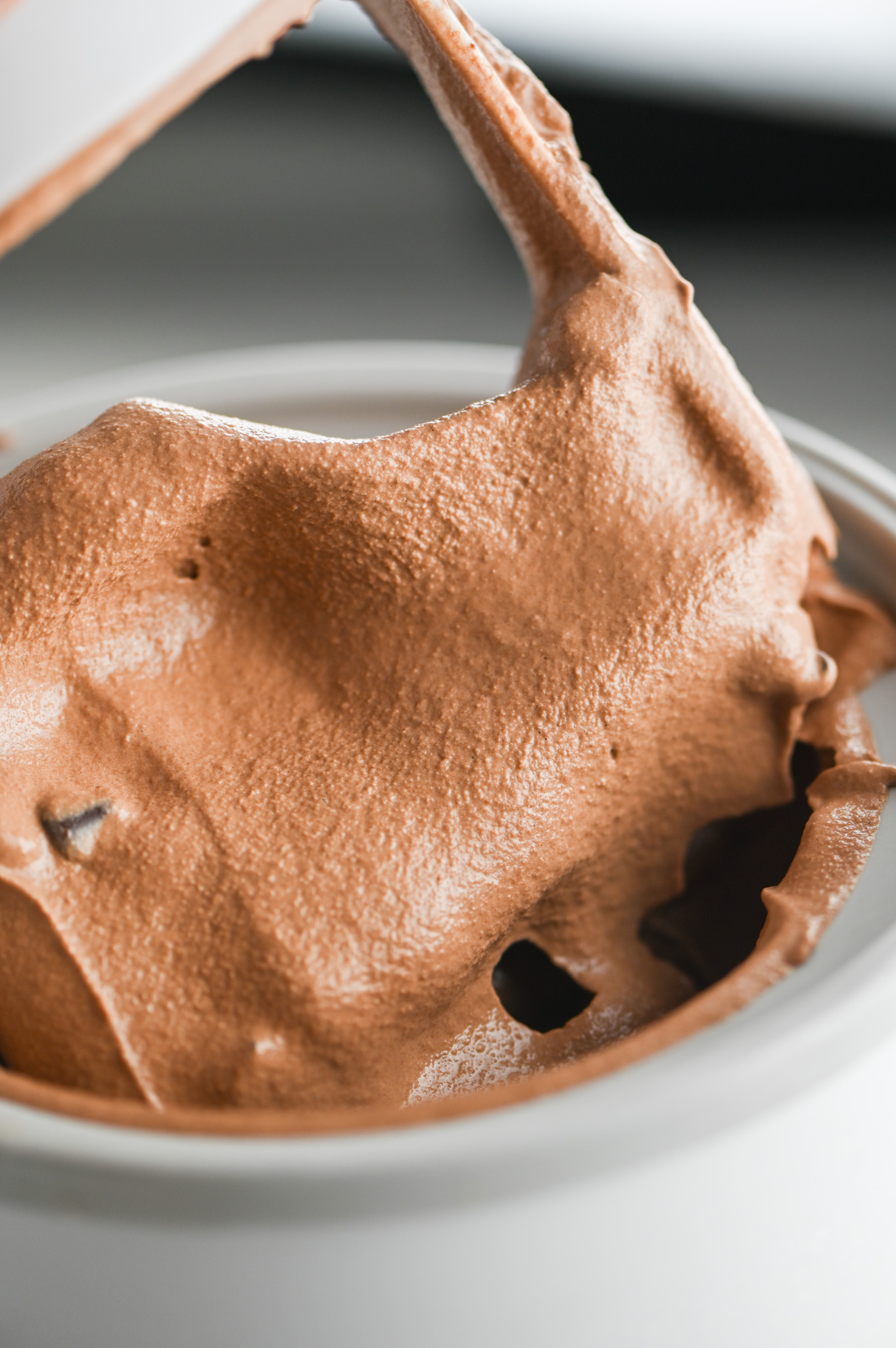 Malted Mocha Ice Cream Recipe | Life's Ambrosia